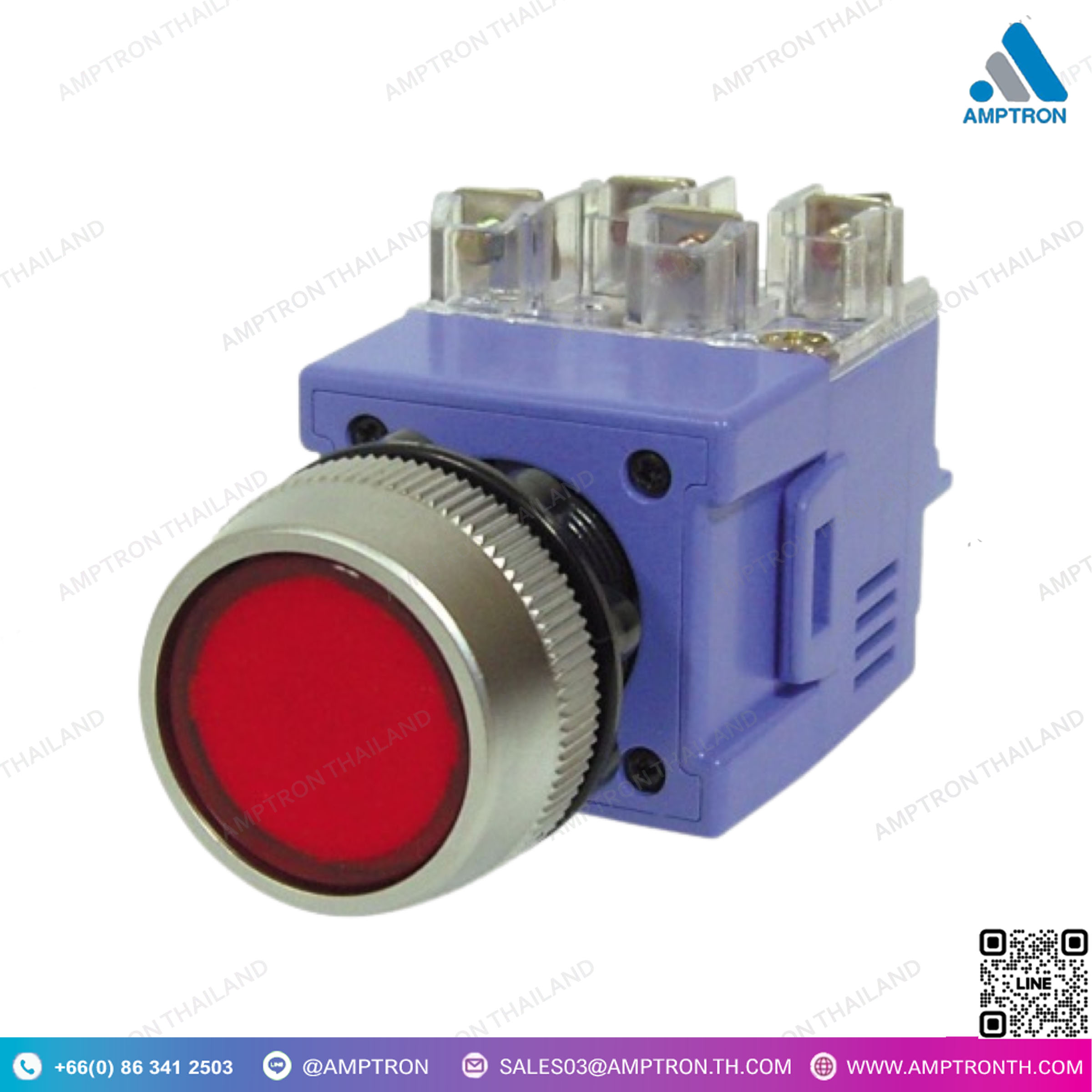 Illuminated Push Button Switch (A Type) - Amptron Instrument Thailand